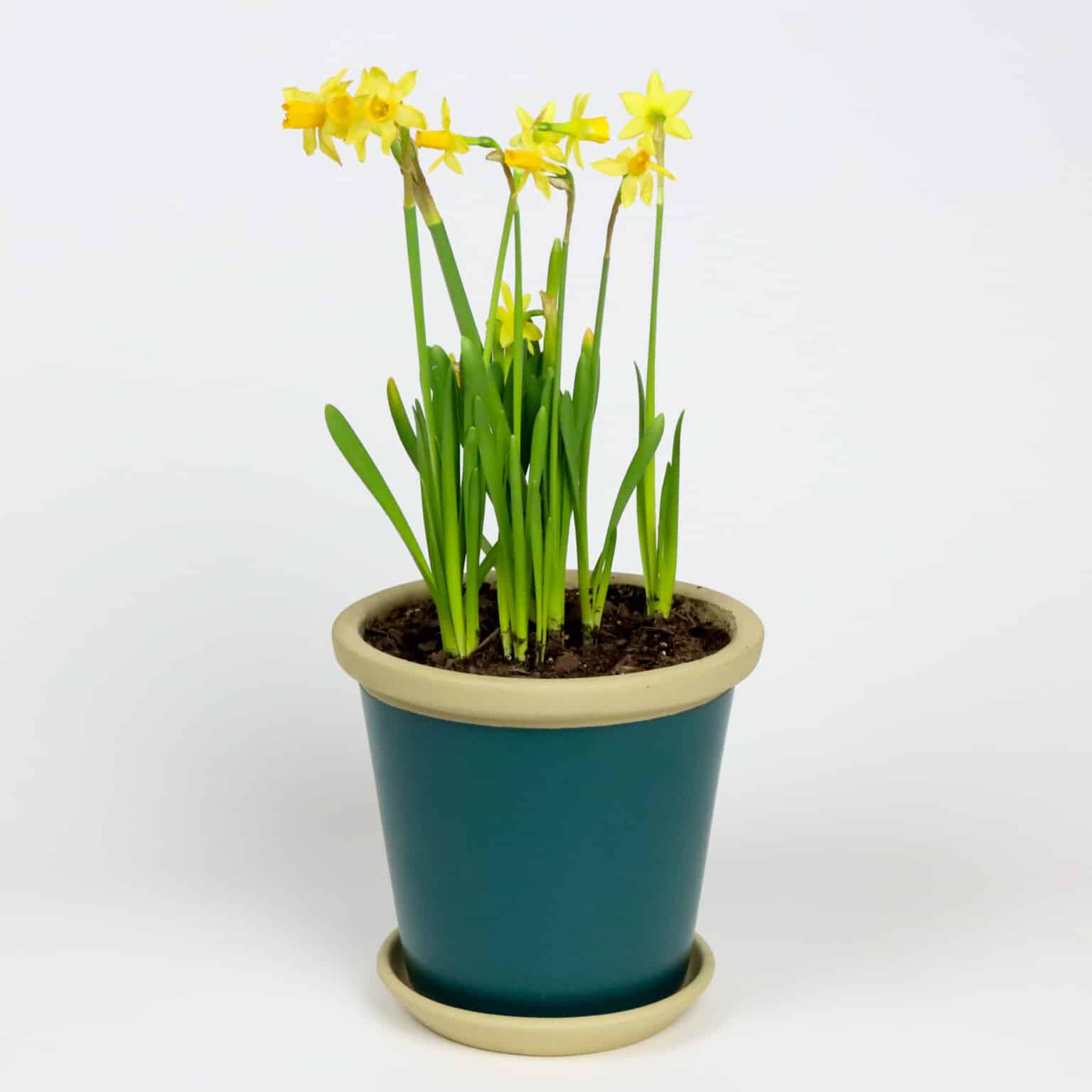 Flower Pots | Emerson Creek Pottery