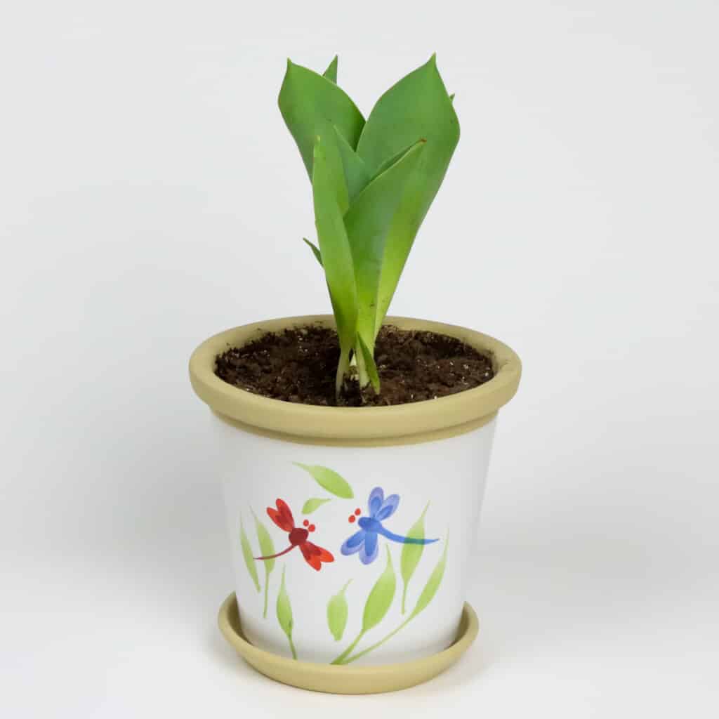 Flower Pots | Emerson Creek Pottery