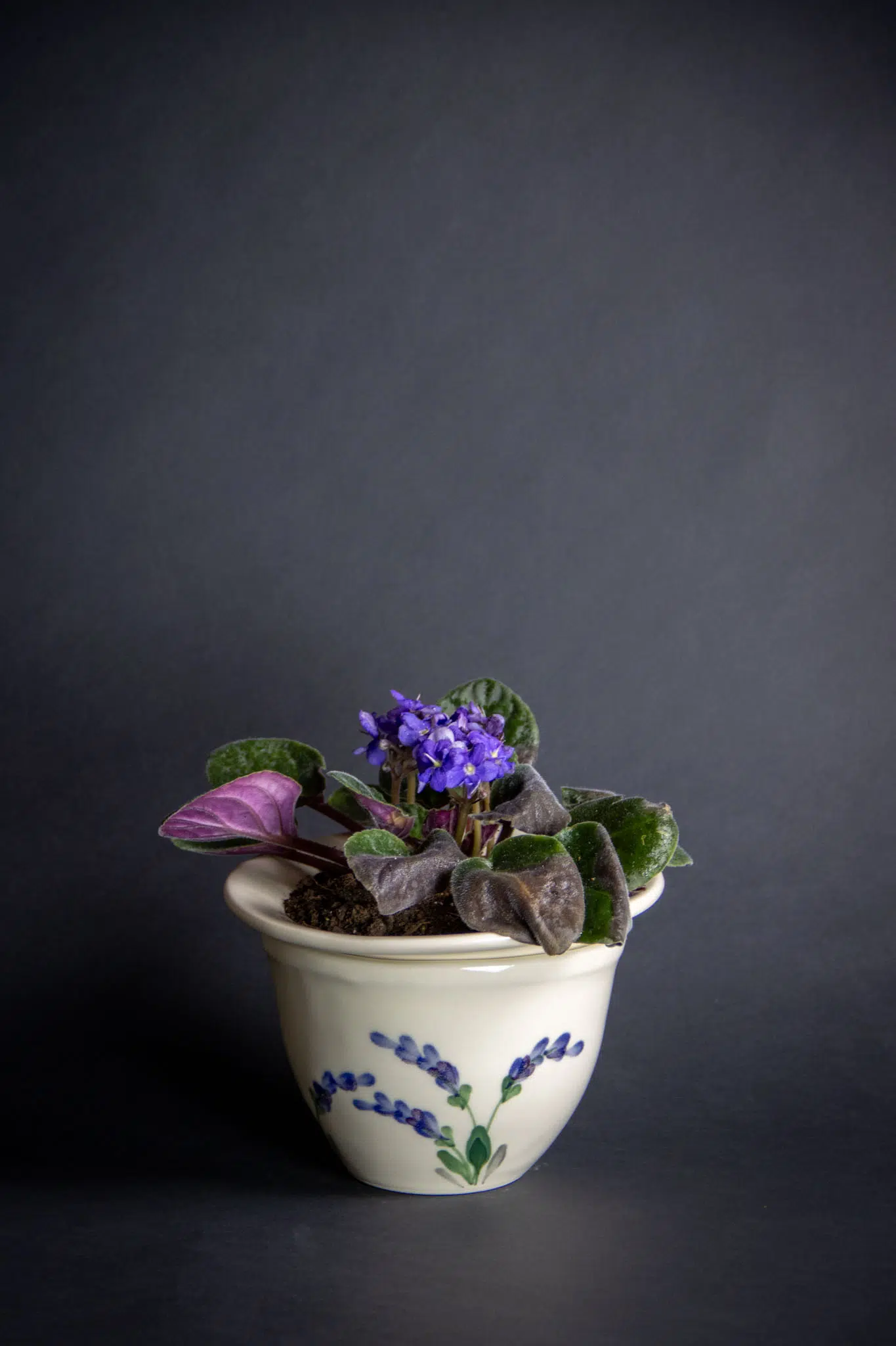 How to use your African Violet Pot | Emerson Creek Pottery