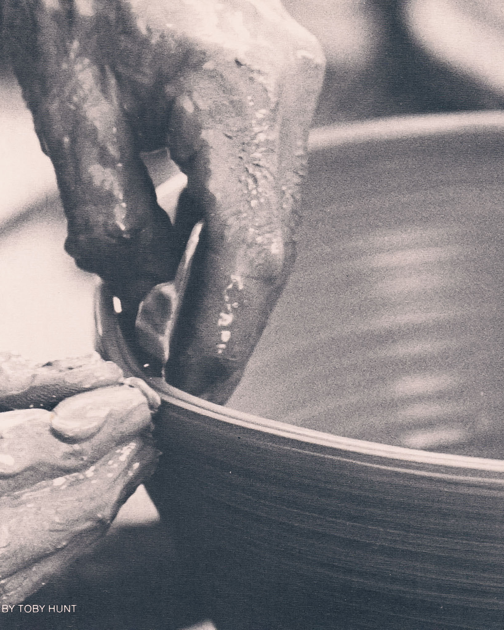 History | American Pottery Studio | Emerson Creek Pottery